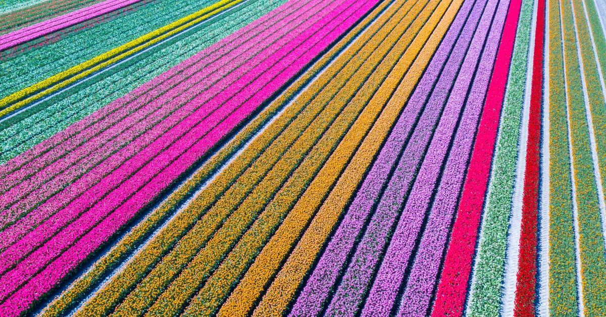 Symantec Security Summary – April 2021 | Symantec Enterprise Blogs