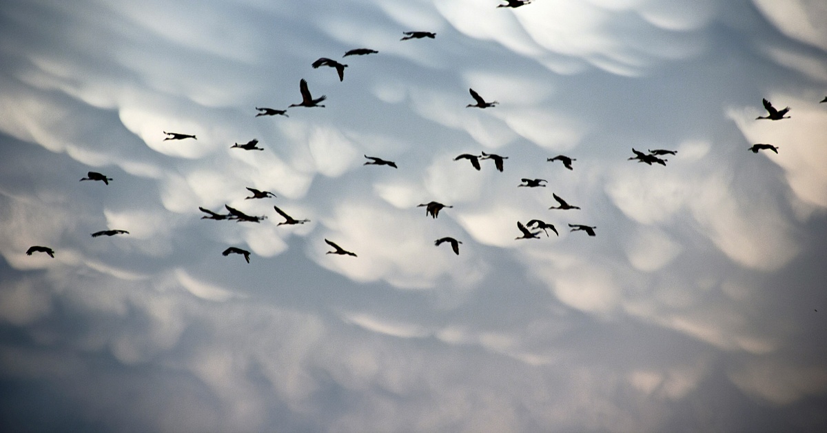 Modernize Your SSO Stack: Smarter Cloud Migration Starts Here ...